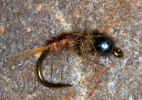 Nymphs