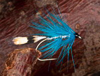 Home Page [www.caithnessqualityflies.co.uk]