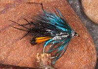 Leggy FLies