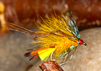 Leggy FLies