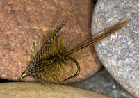 Dabblers