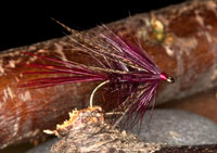 Dabblers